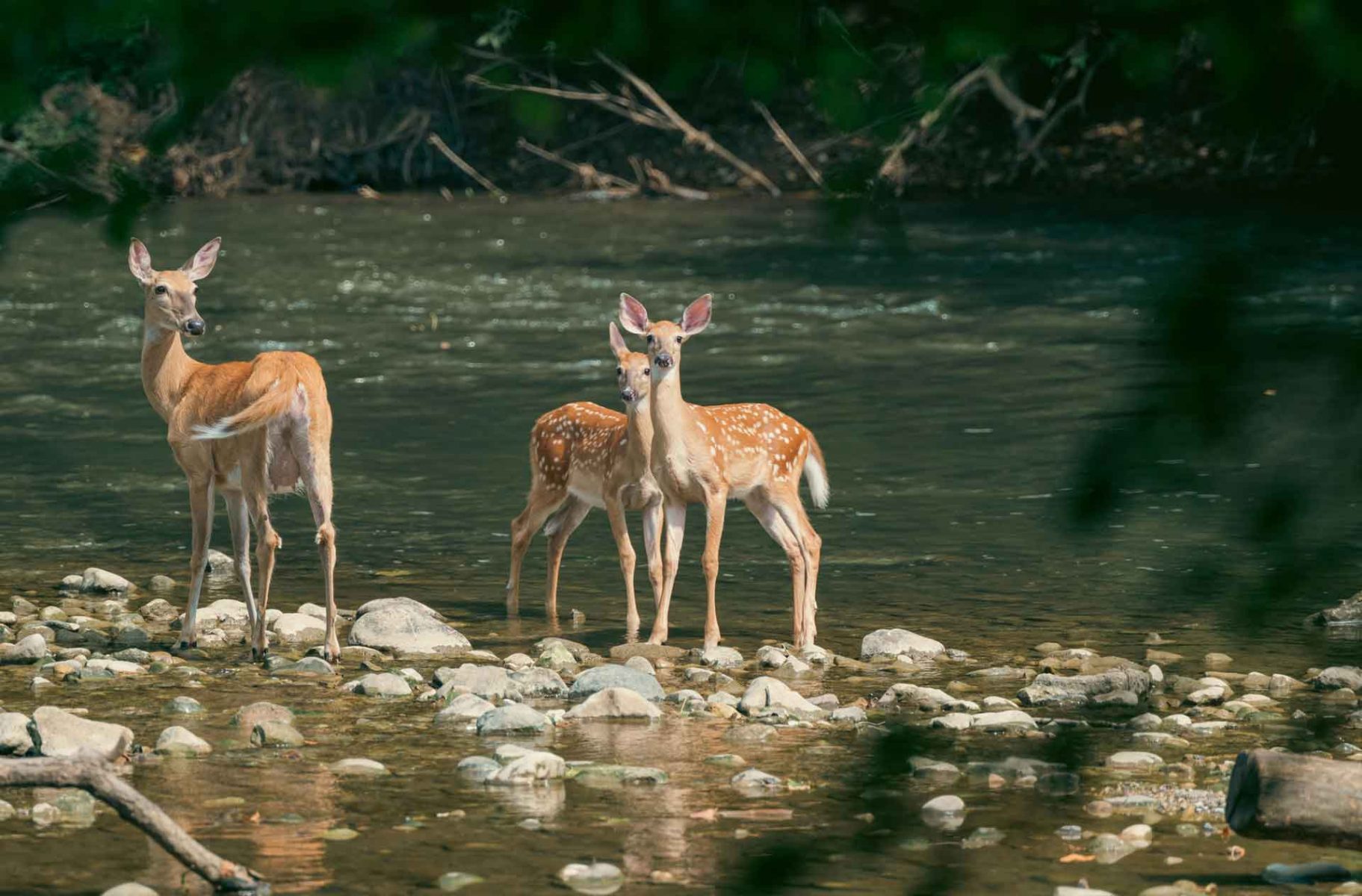 The Grand Sextile: Is this the Holy Grail of Astrology? – Seattle Astrology